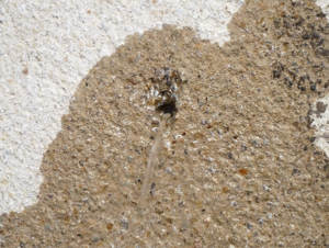 Vandex Plug 15kg - Resapol